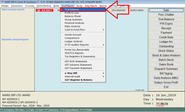 How To View Trial Balance Report In Marg Software