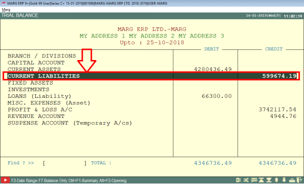 How To View Trial Balance Report In Marg Software