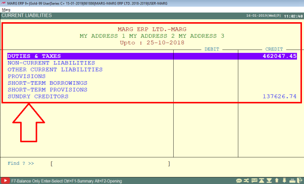 How To View Trial Balance Report In Marg Software