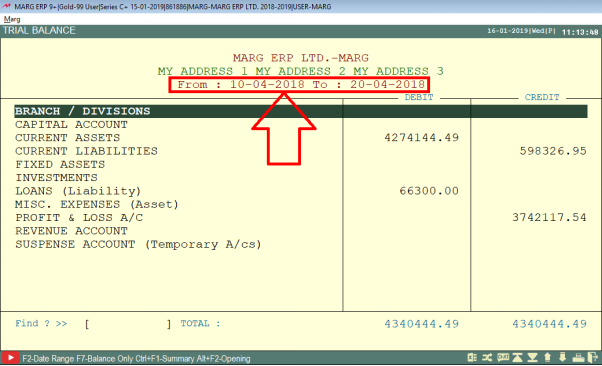 How to view Trial Balance Report in Marg Software?